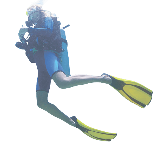 Enjoy Diving - Enjoy diving